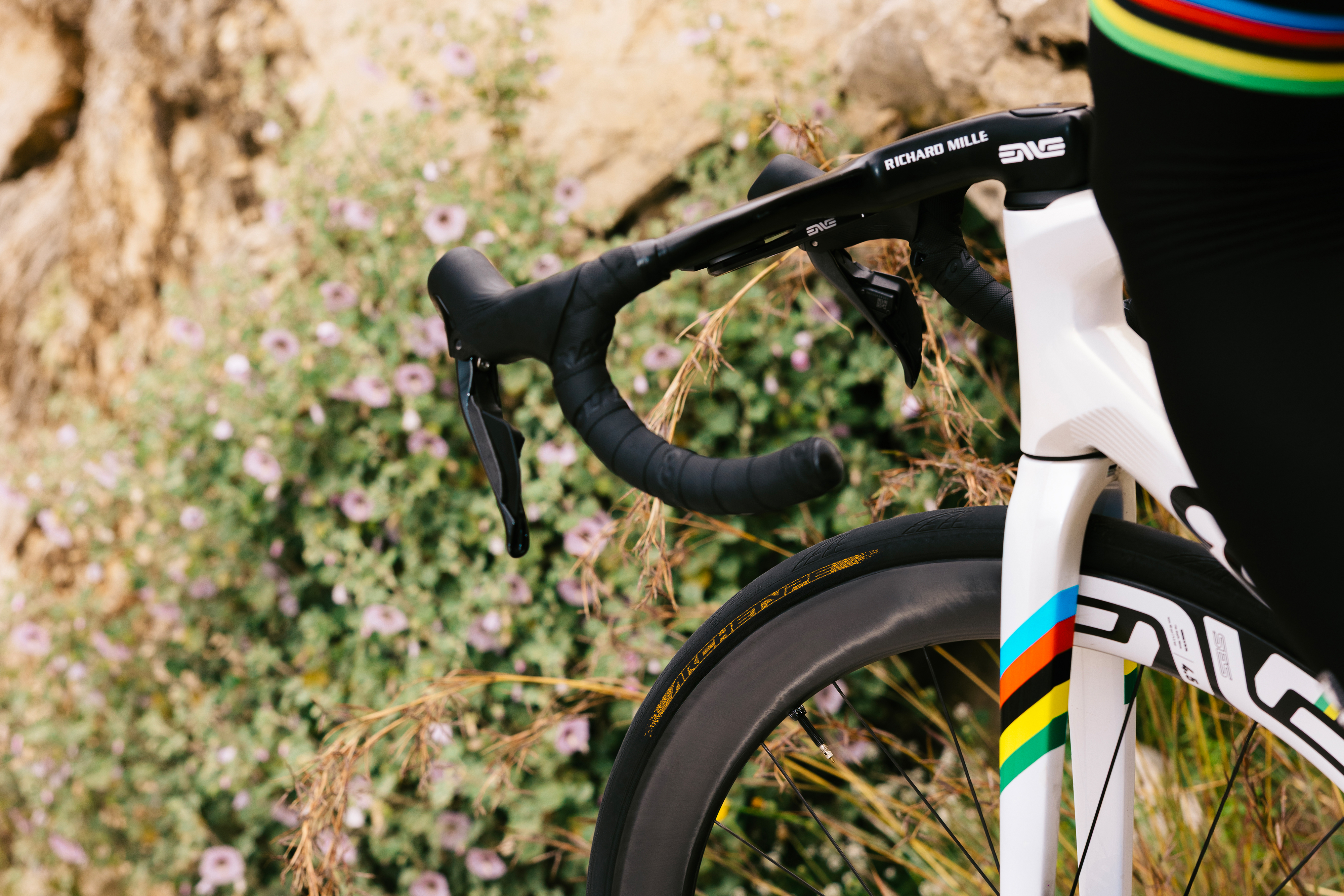 continental archetype