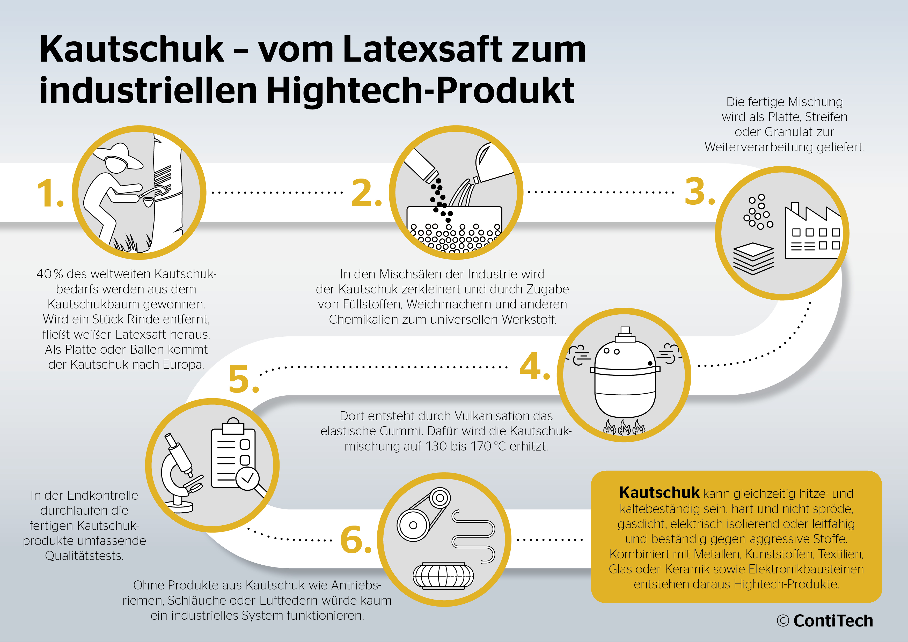 Faszination Kautschuk: Schlüssel zu wegweisenden Entwicklungen und ...