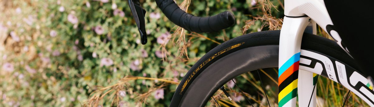 continental archetype