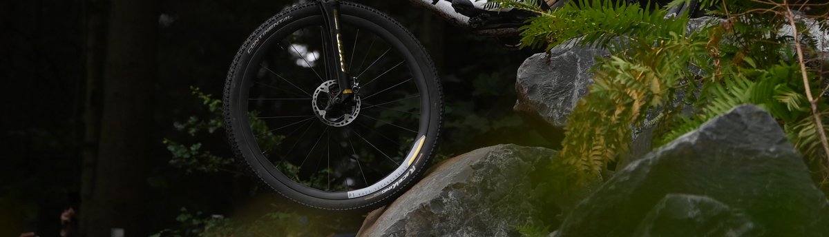 Shane Messner joins Continental Tires as Head of Bicycle the Americas ...